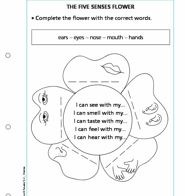 The five senses flower | Giunti Scuola