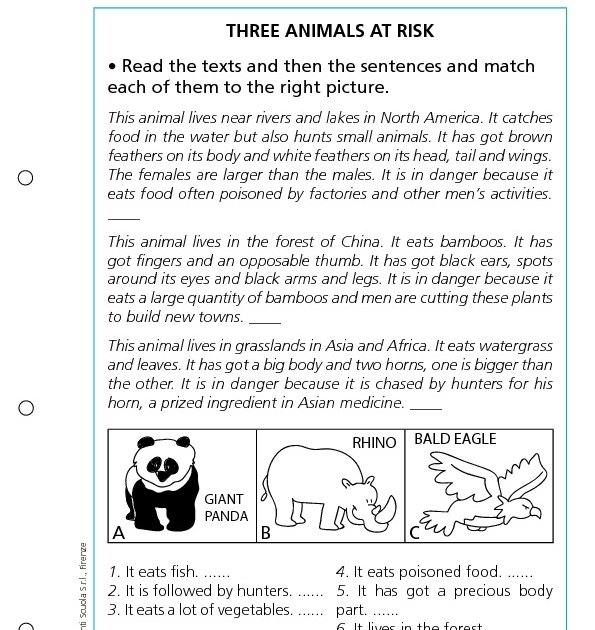 Three animals at risk | Giunti Scuola