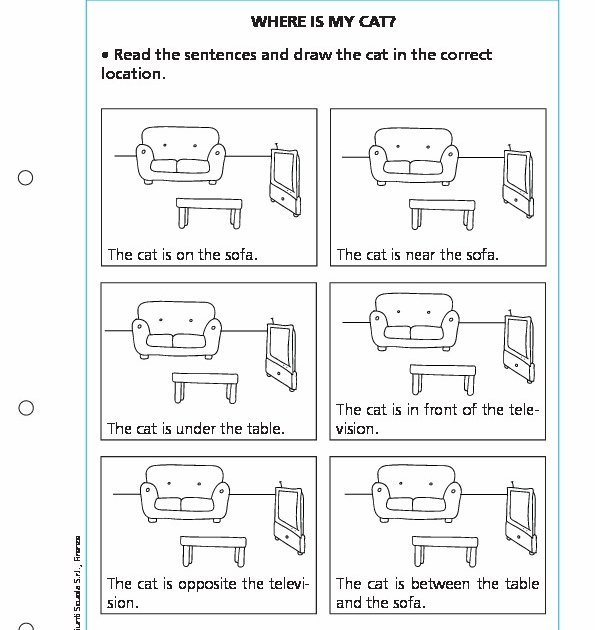 Where is my cat? | Giunti Scuola