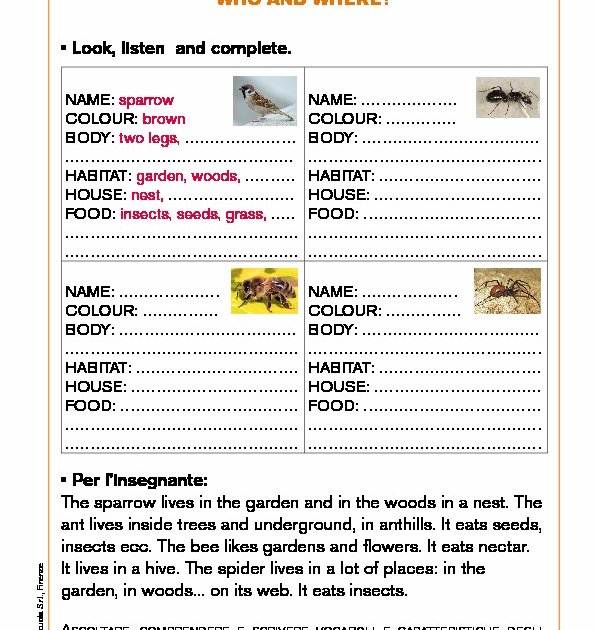 Who and where? | Giunti Scuola